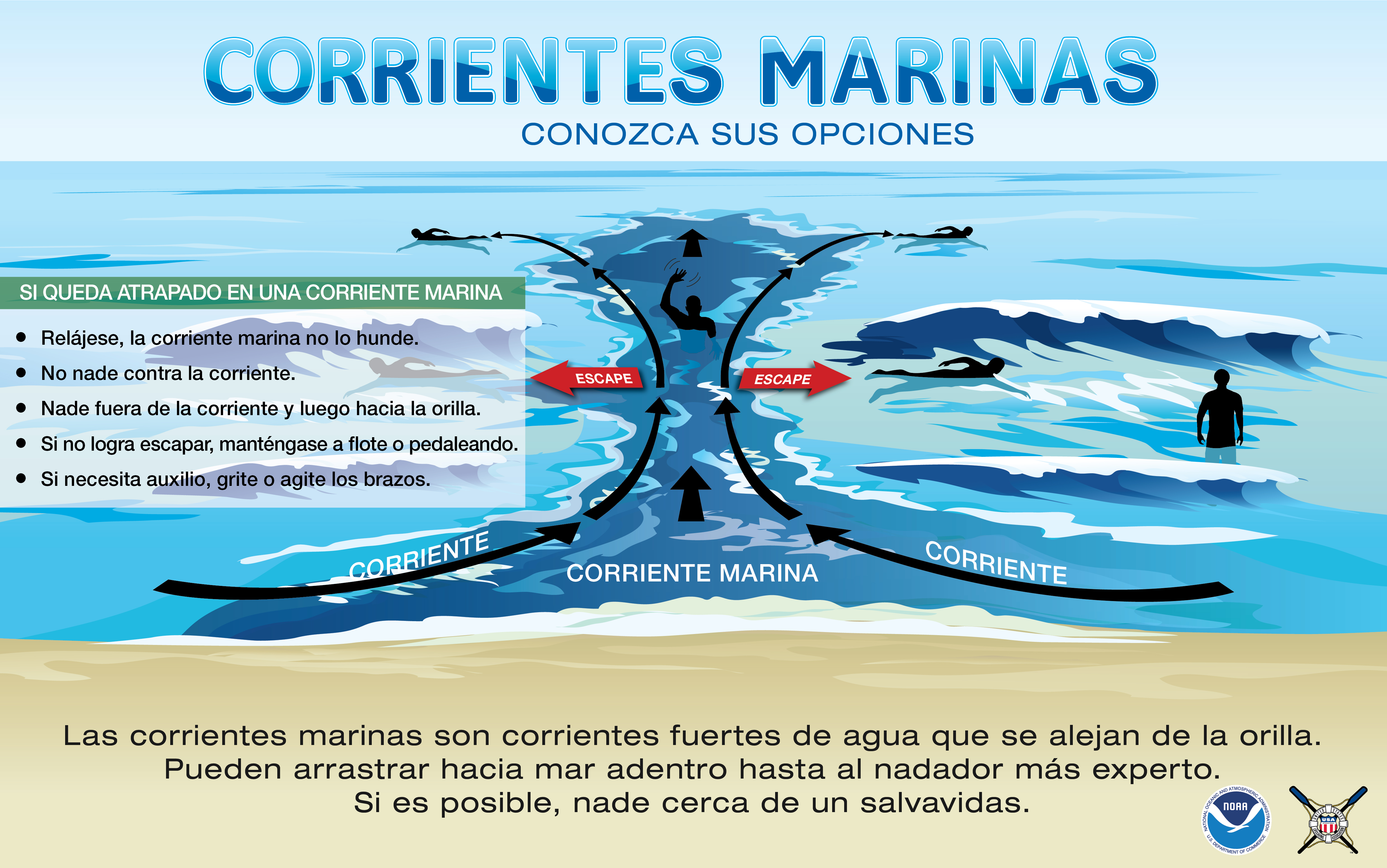 Safety Signs, Multimedia, Handouts